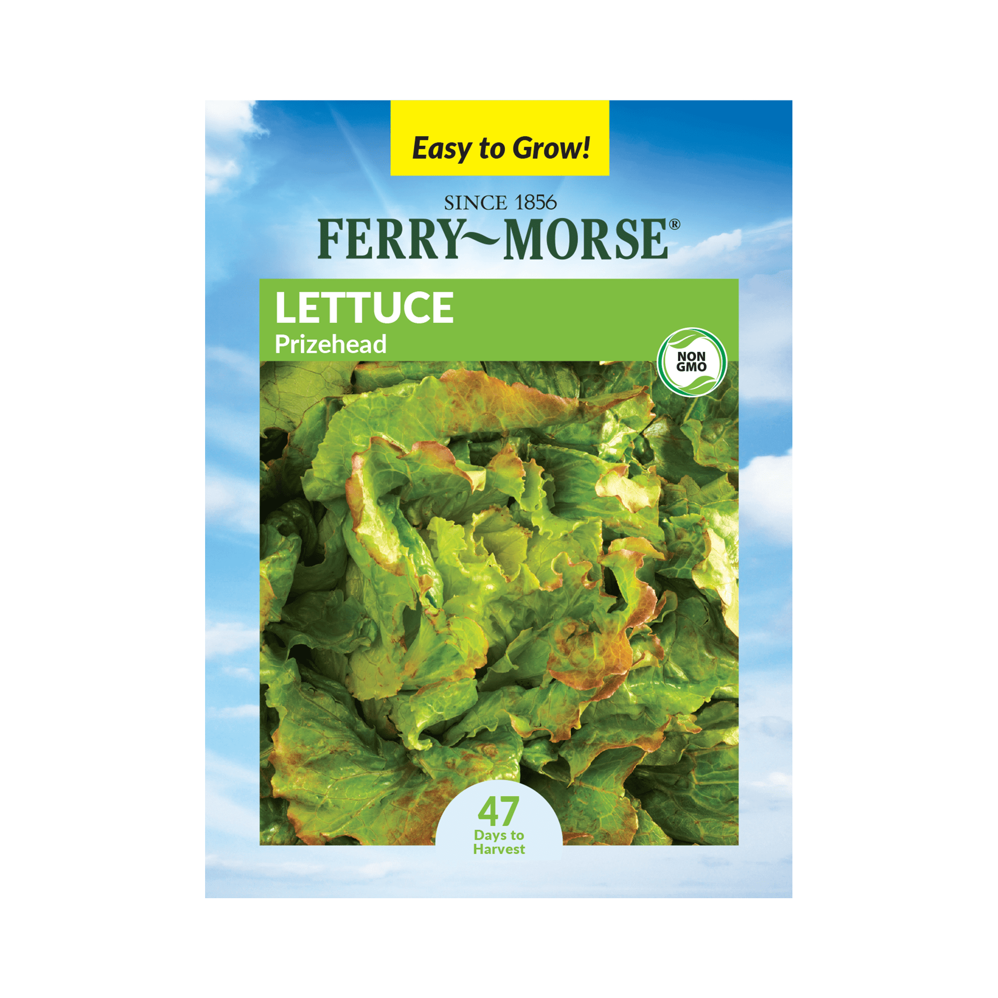 Ferry-Morse 700MG Lettuce Prizehead Annual Vegetable Seeds, Full Sun ...
