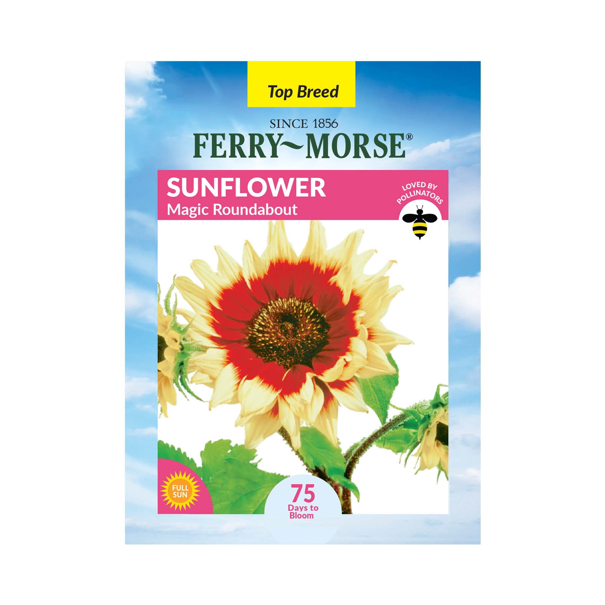 Ferry-Morse 700MG Sunflower Magic Roundabout Annual Flower Seeds, Full ...