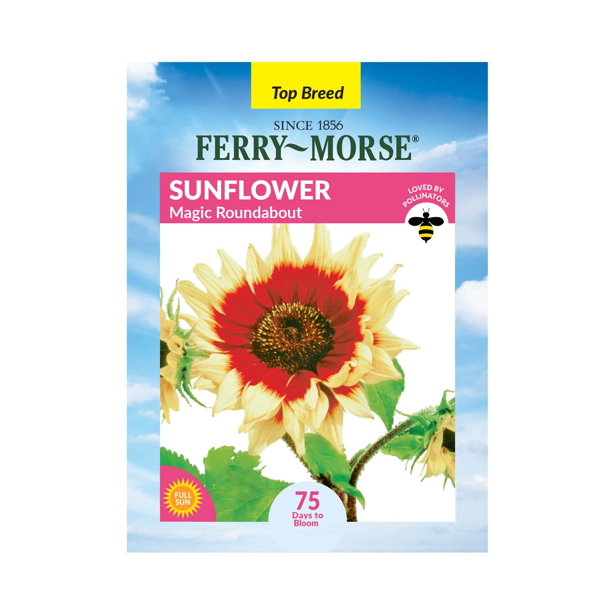 Giant Sunflower Kit - Hundreds of Jumbo Sun Flower Seeds for Planting ...