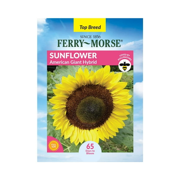 Sunflower Flower Seeds in Seed Gardening - Walmart.com