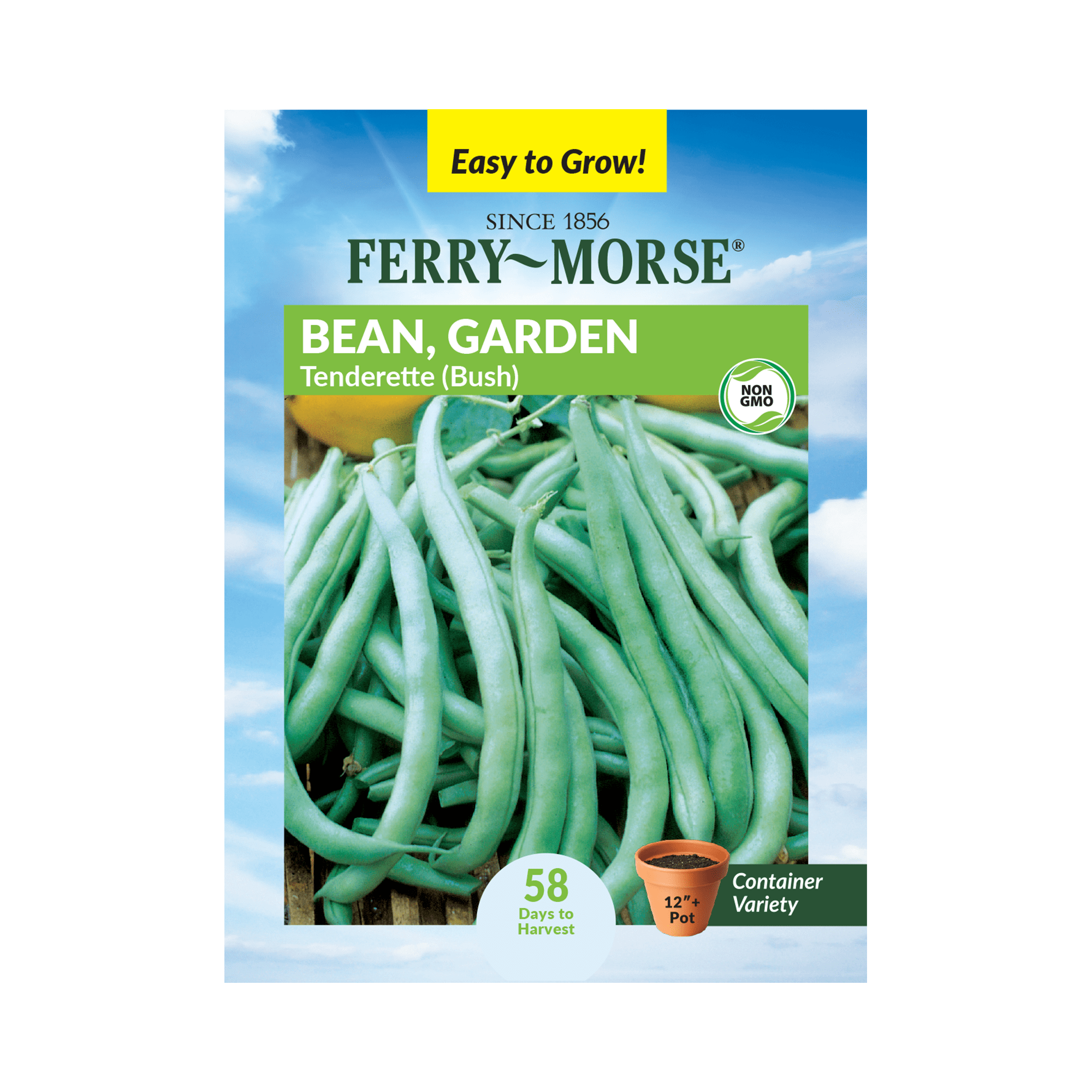 Ferry-Morse 8.5G Bean Tenderette Bush Annual Vegetable Seeds, Full Sun ...