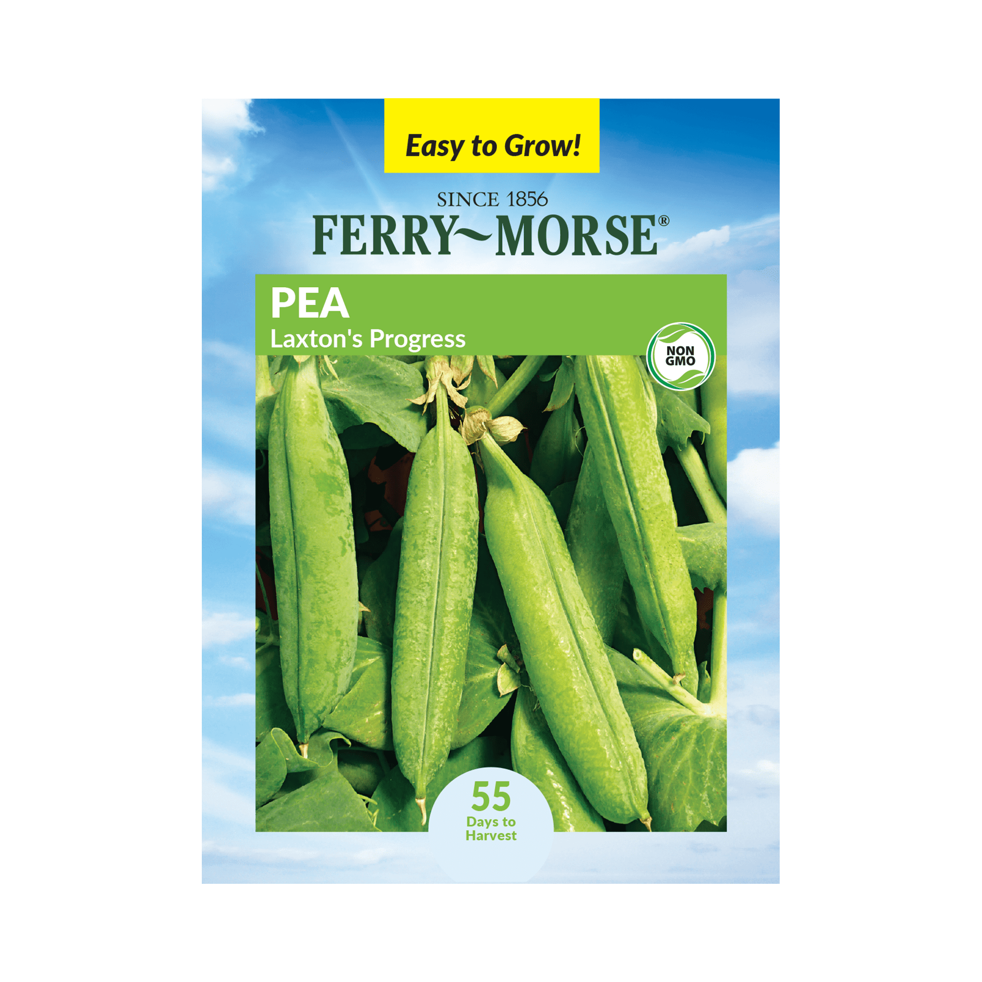 Ferry-Morse 8.5G Pea Laxton's Progress Annual Vegetable Seeds, Full Sun ...