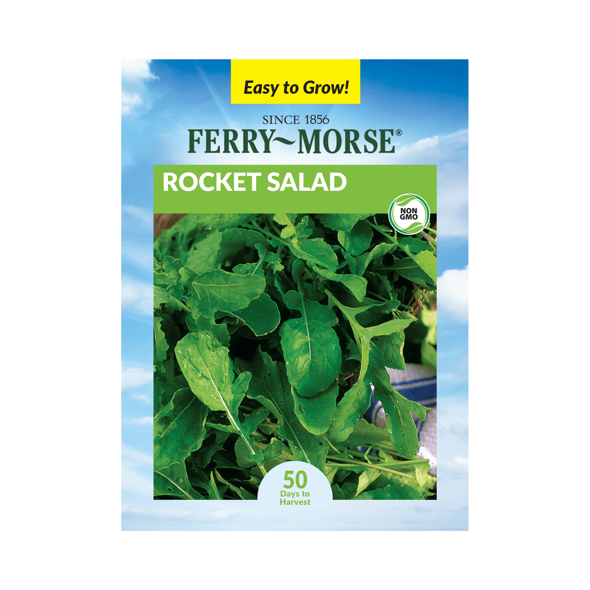 Ferry-Morse 800MG Arugula Rocket Salad Annual Vegetable Seeds, Full Sun ...