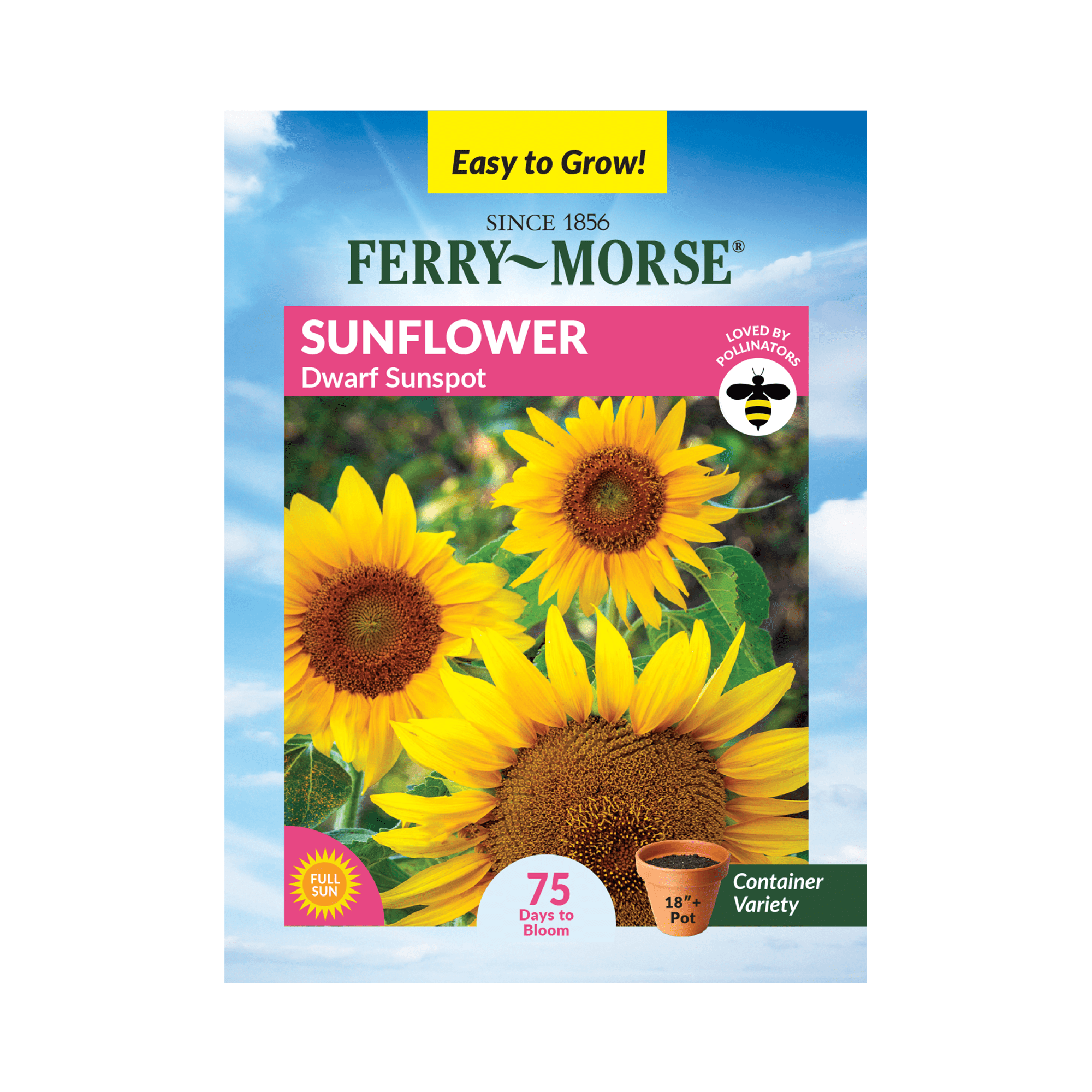 Ferry-Morse 800MG Sunflower Dwarf Sunspot Annual Flower Seeds, Full Sun ...