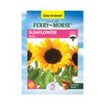 Ferry-Morse 800MG Sunflower Stella Annual Flower Seeds, Full Sun ...