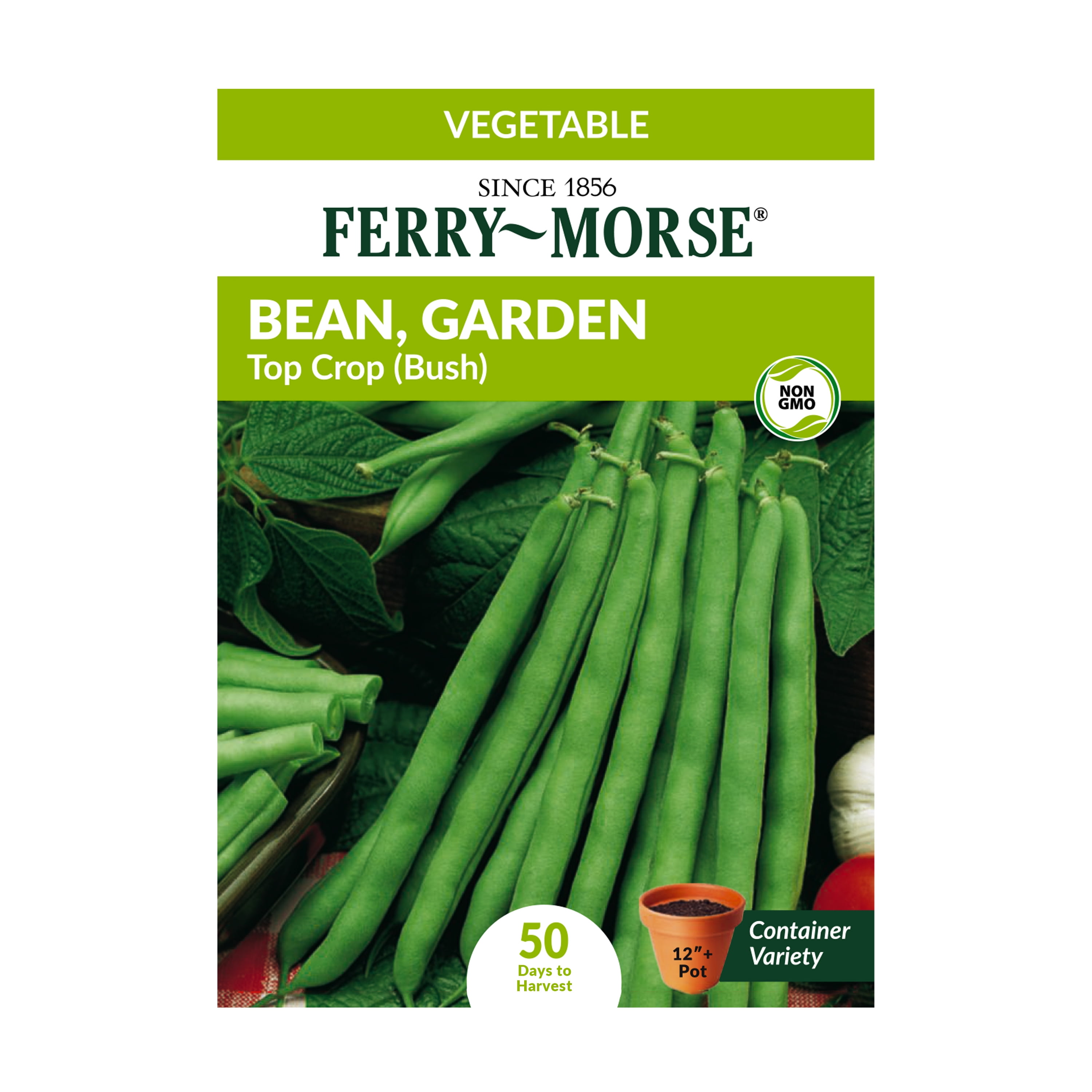 Ferry-Morse 9G Bean, Garden Top Crop (Bush) Vegetable Plant Seed Full ...