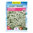 Ferry-Morse 170MG Alyssum Carpet Of Snow Annual Flower Seeds, Full Sun ...