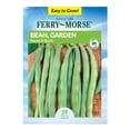 Ferry-Morse 11G Bean Roma II Bush Annual Vegetable Seeds, Full Sun ...