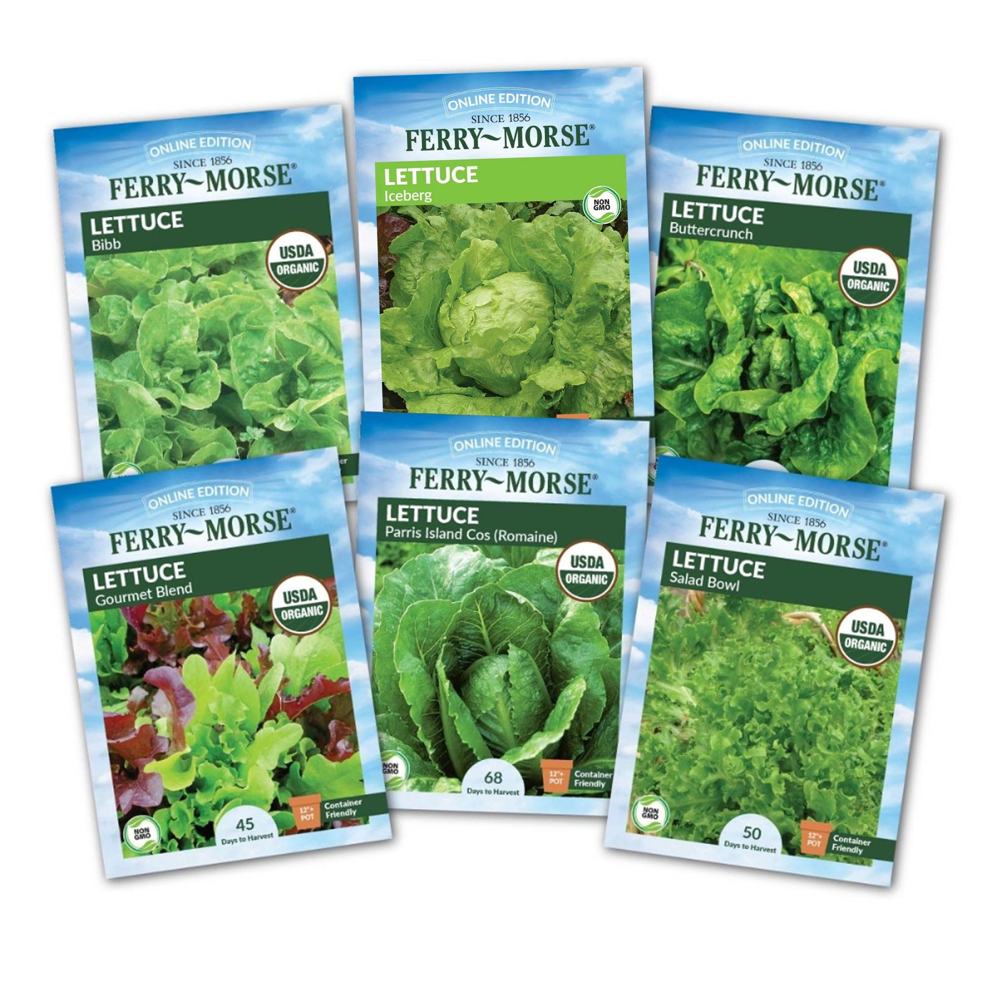 Ferry-Morse Cold Hardy Lettuce Seed Variety Pack - 6 Pack - Walmart.com