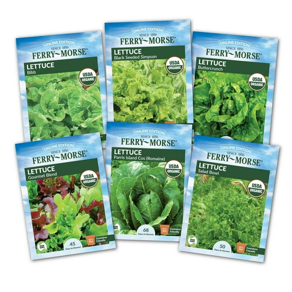 Lettuce Seeds in Seed Gardening - Walmart.com
