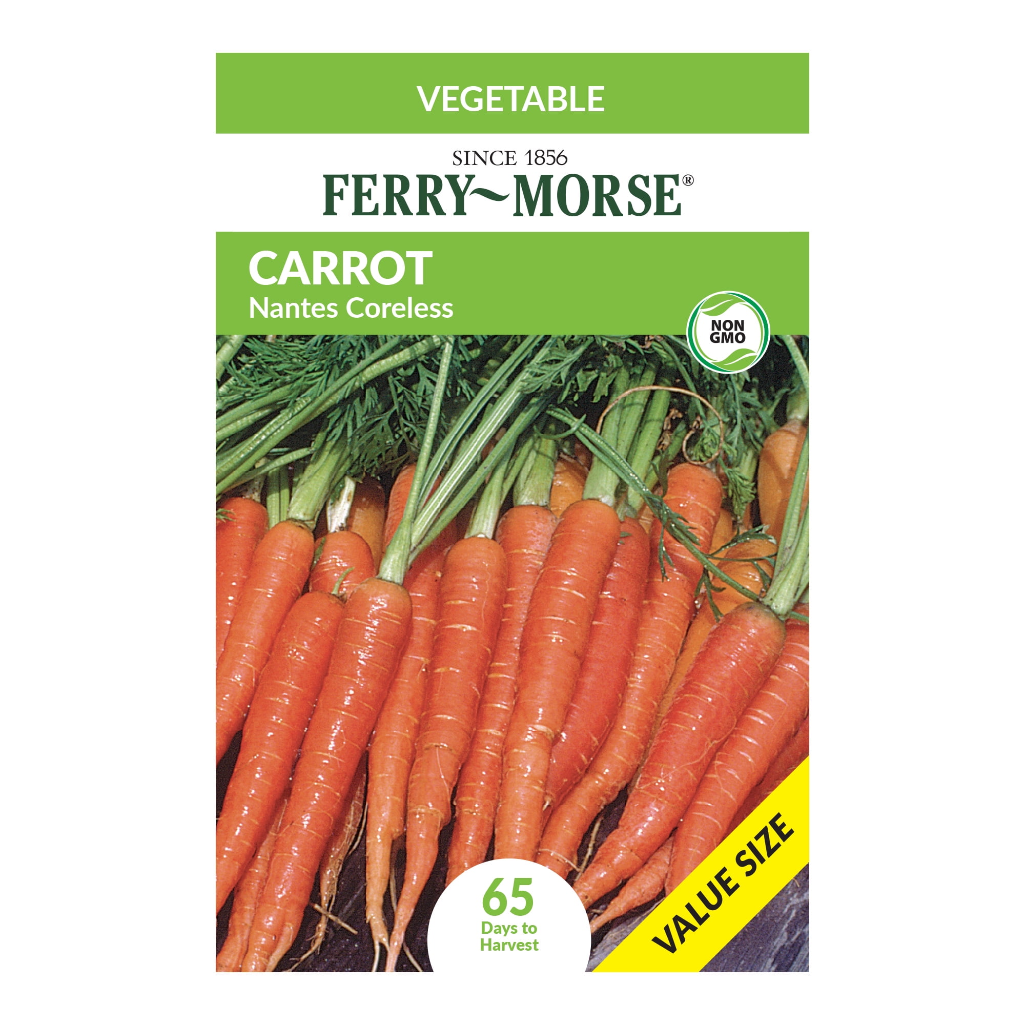 Ferry-Morse Economy 3G Carrot Nantes Coreless Annual Vegetable Seeds ...