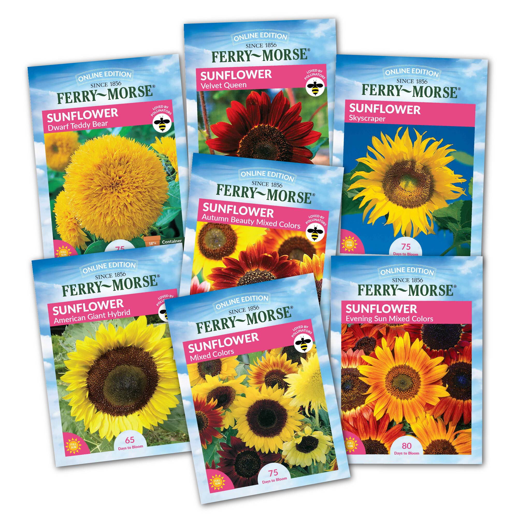 Ferry-Morse "Grow the Sunshine" Sunflower Seed Variety Pack - 7 Pack ...