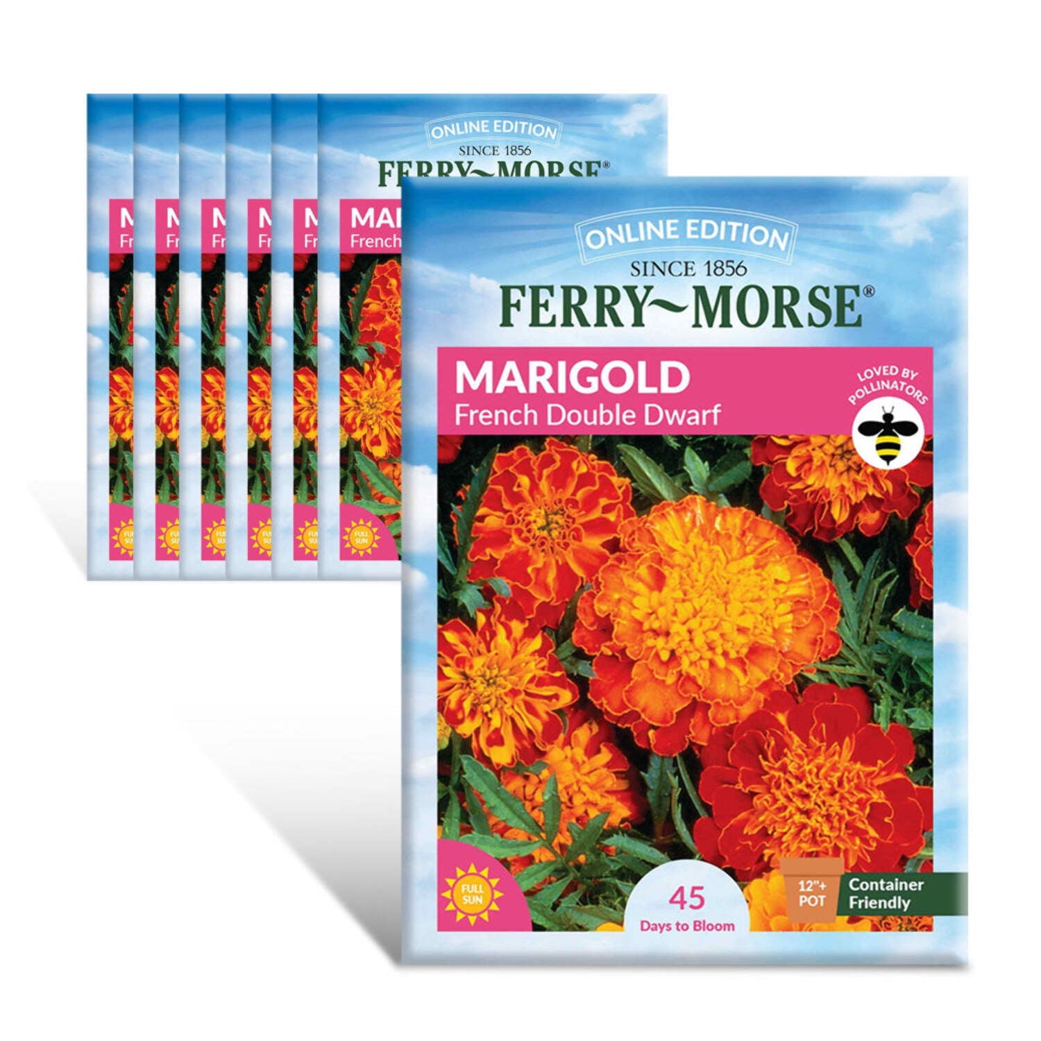Ferry-Morse Online Edition Marigold French Double Dwarf Seed Multipack ...