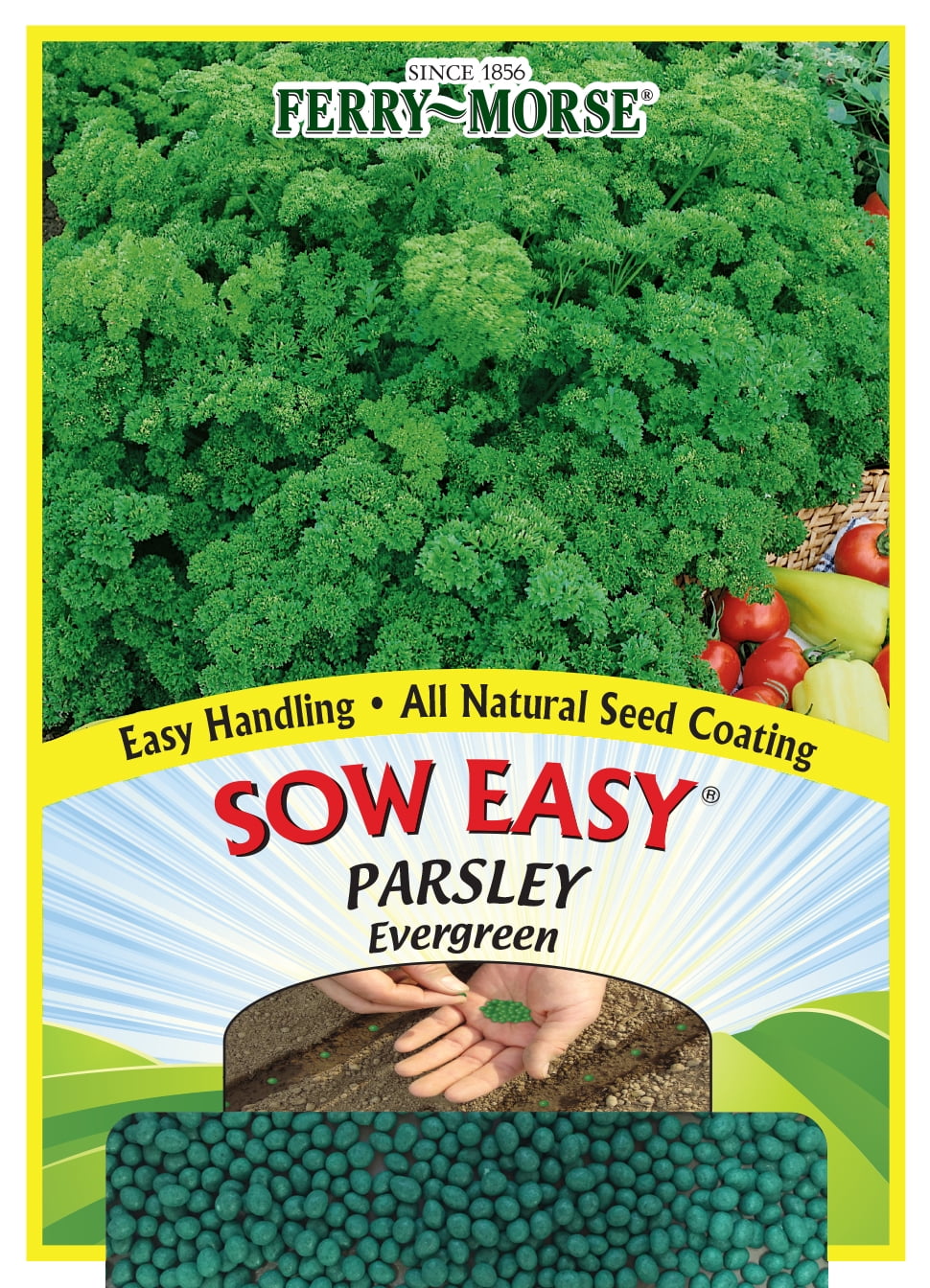 Ferry-Morse Sow Easy 1G Parsley Evergreen Annual Herb Seeds Full Sun ...
