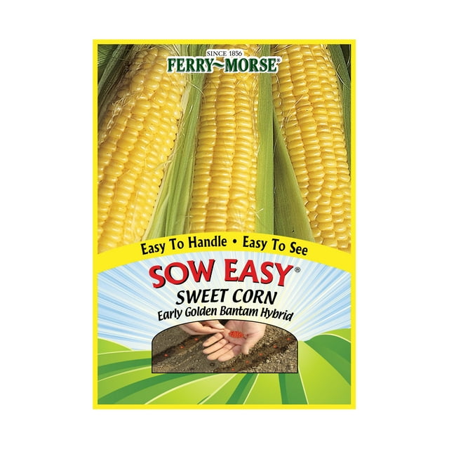 Ferry-Morse Sow Easy 45PCS Sweet Corn Early Golden Bantam Vegetable ...
