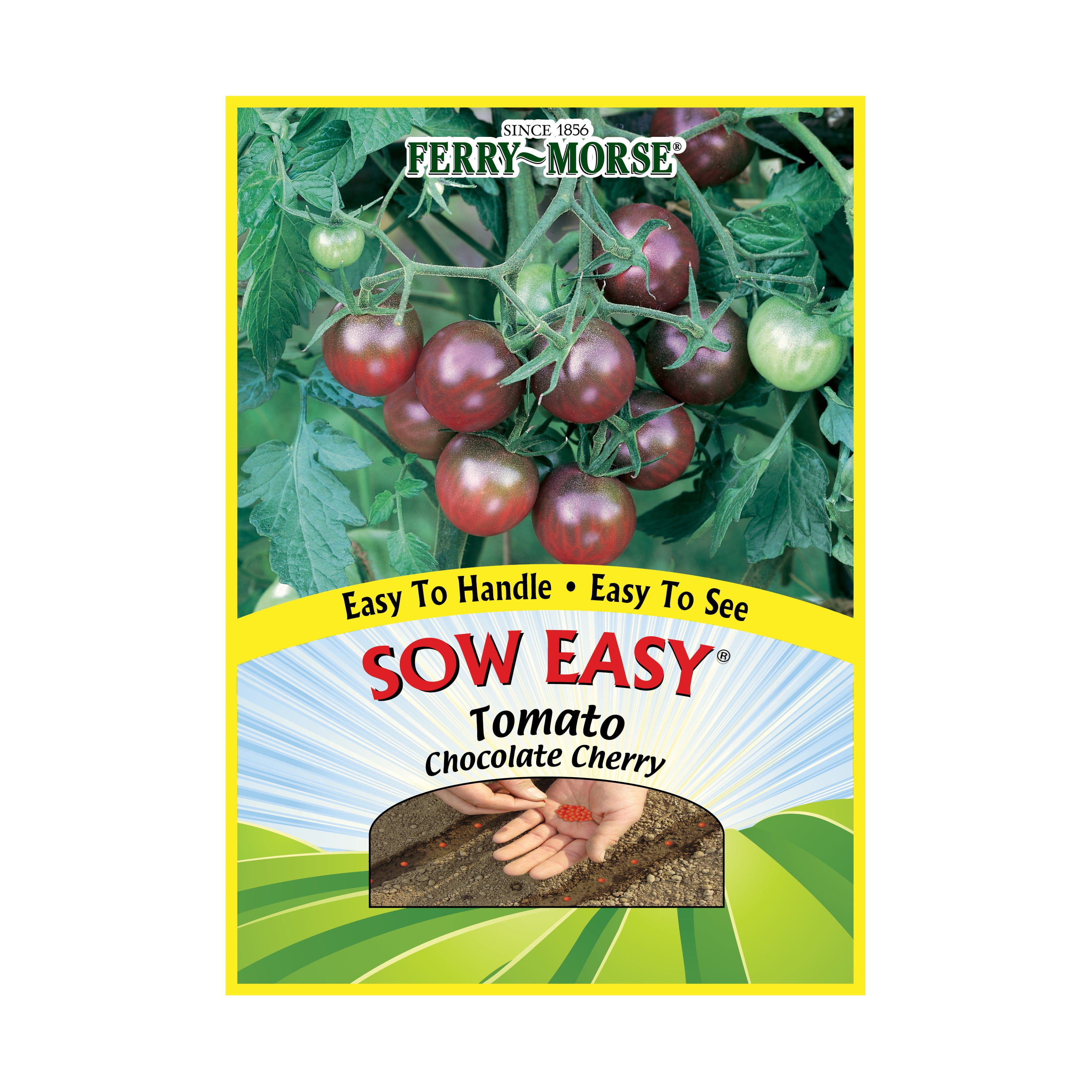 Chocolate Tomato Seeds