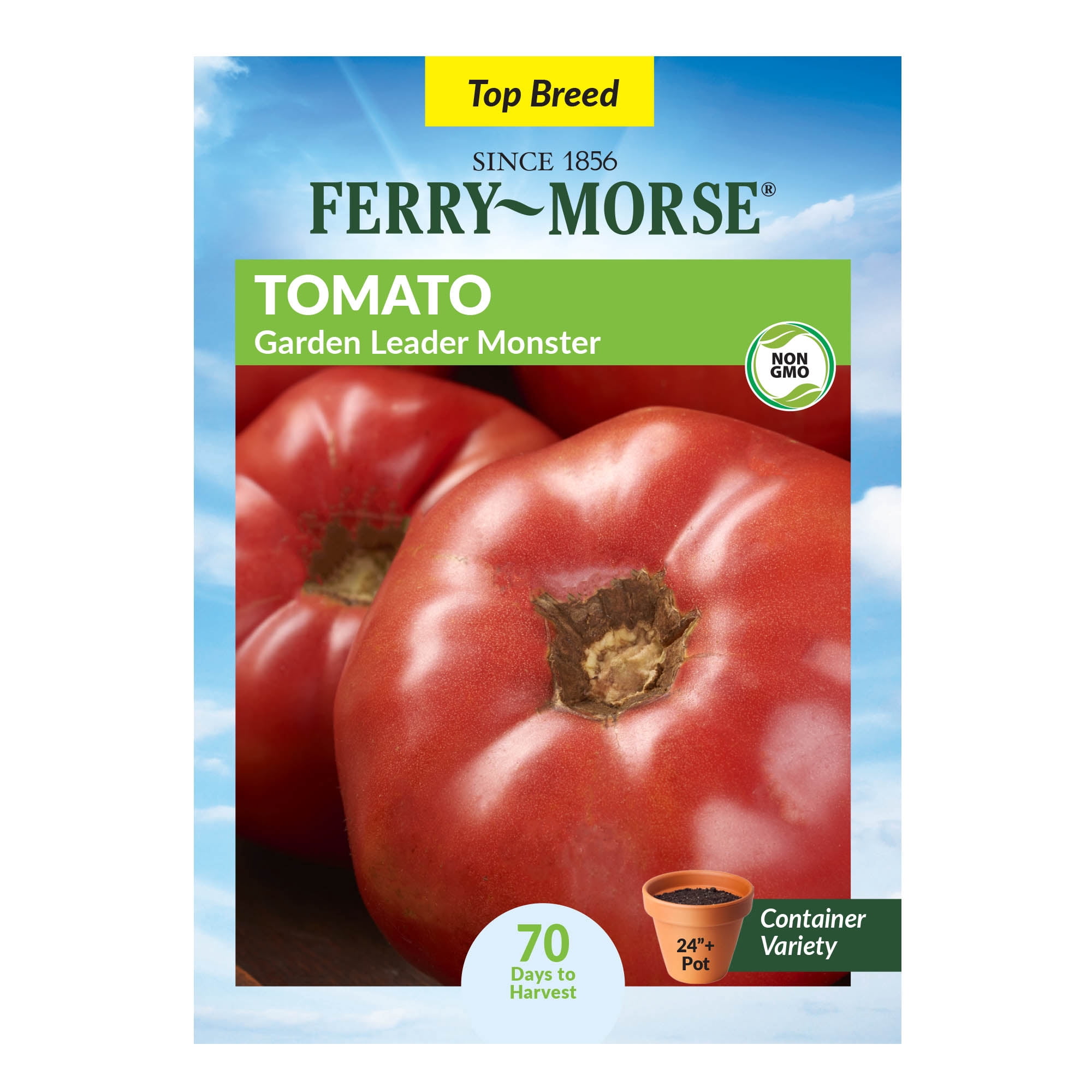 Ferry-Morse 150MG Tomato Garden Leader Monster Annual Vegetable Seeds ...