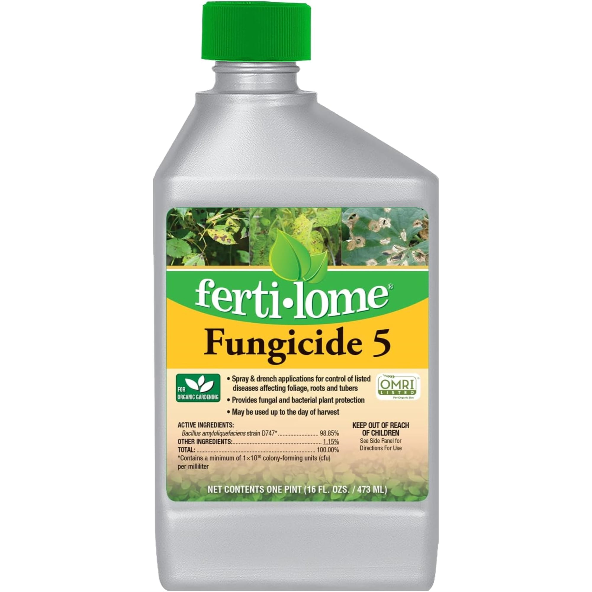 Fertilome (16112) Fungicide 5 Concentrate, Plant Disease and Bacteria ...