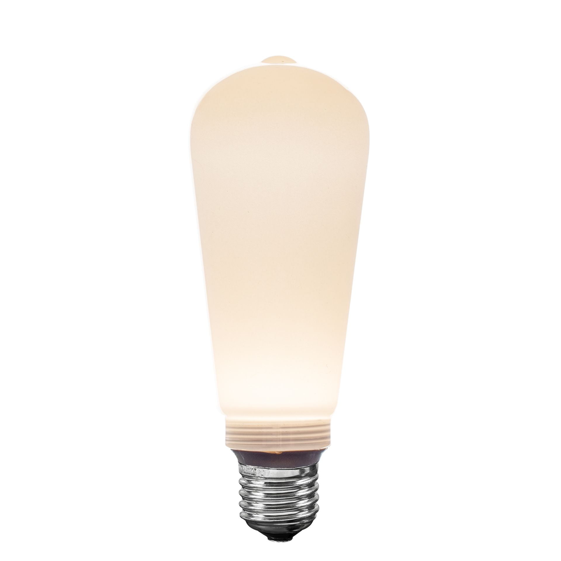 Festive Living Velora Light G125 + COB LED Filament Indoor/Outdoor ...