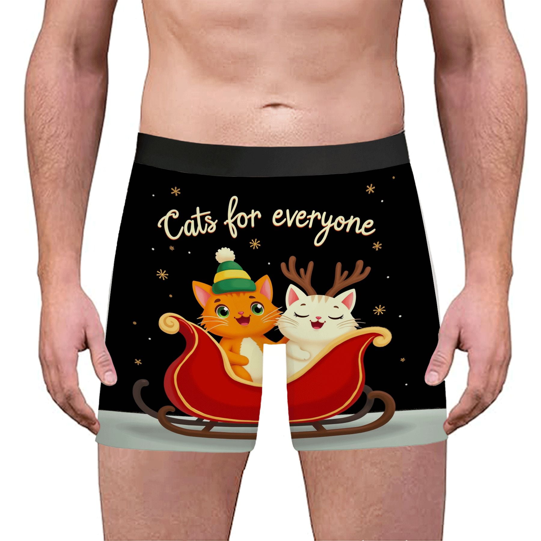 Festive Men's Boxer Briefs with Cartoon Cats in Sleigh Winter Design ...