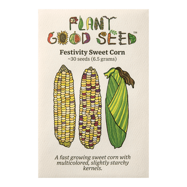Rare Corn Seeds for Planting - 25 Seeds per Packet - (Oaxacan Green ...
