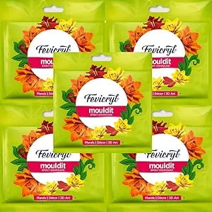 Fevicryl Mould Clay 5 pcs for Modelling and Sculpting, Air Dry Clay for ...