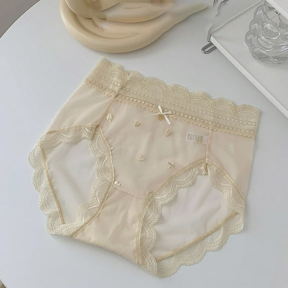 Fewfanhot Women's Lace Lightweight Briefs Breathable Mesh Design Soft ...