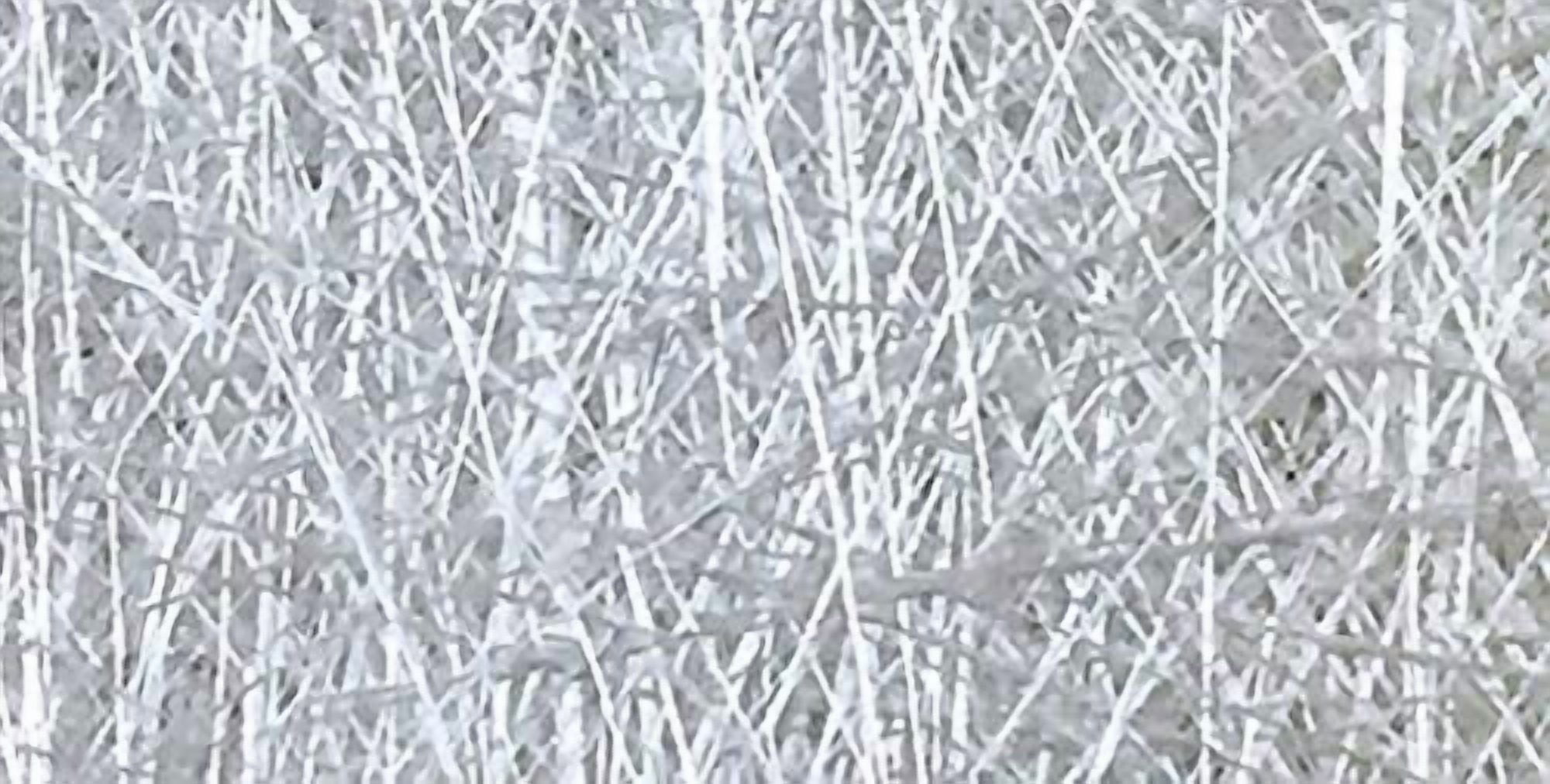 Fiberglass Chopped Strand Mat .75 oz | 50 inches Wide x 60 Feet Long ...