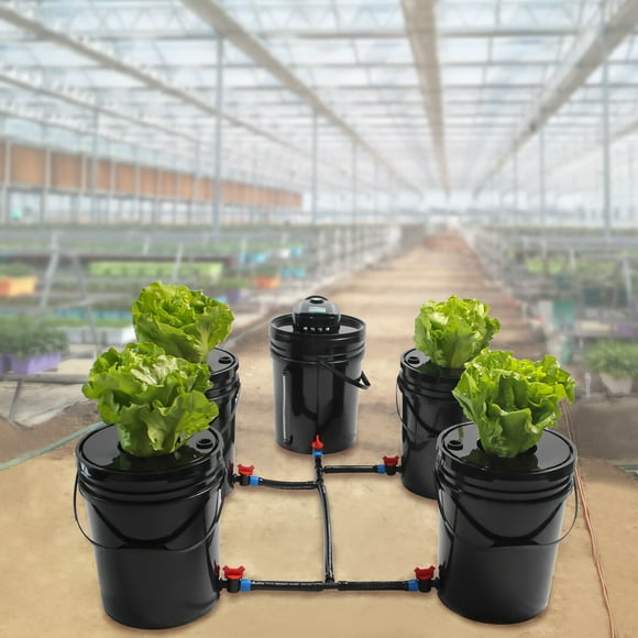 Hydroponic Black Bucket Deep Water System