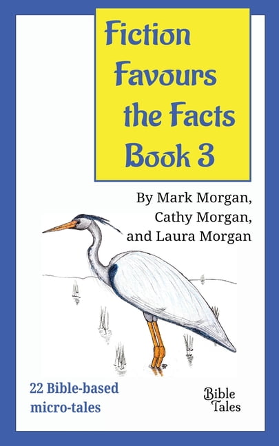 Fiction Favours the Facts - Book 3 : Yet Another 22 Bible-based Micro ...
