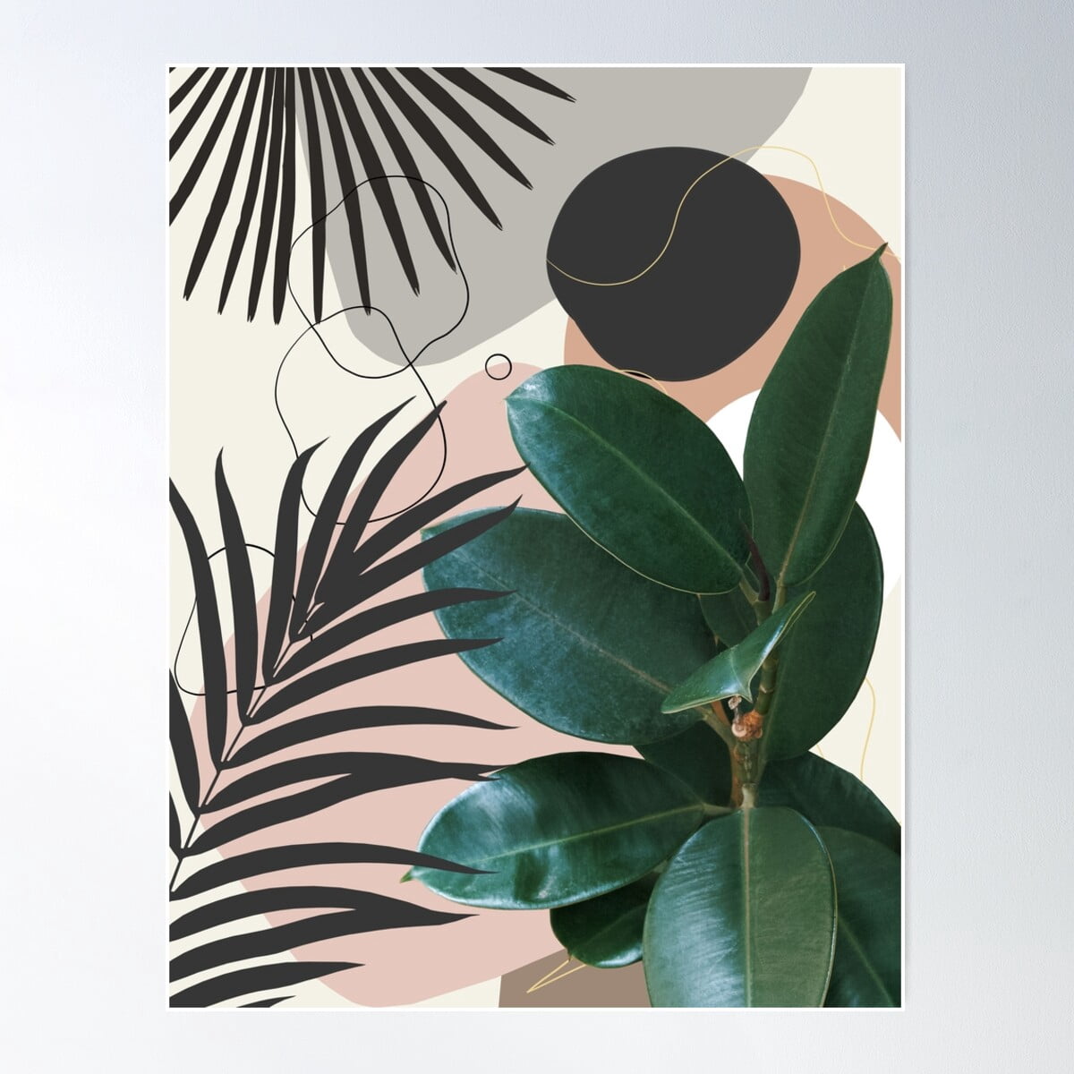 Ficus Elastica Fan Palm Finesse #1 #Tropical #Decor #Art Poster Wall ...