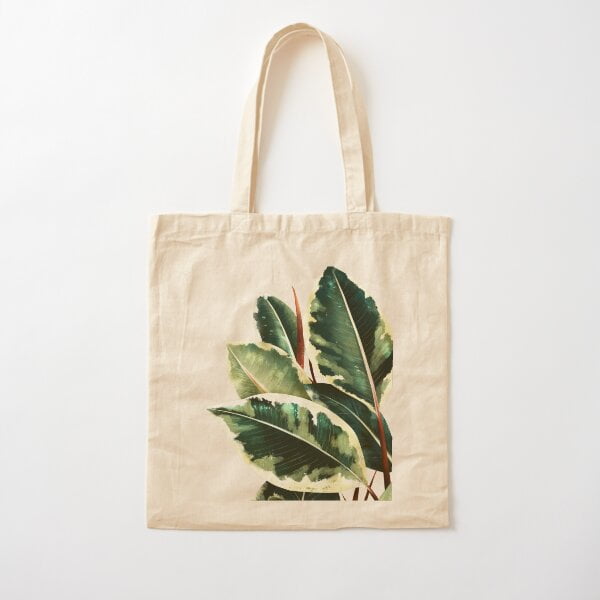 Ficus, Ficus Elastica, Plant, Plant Illustration, Plant Drawing ...