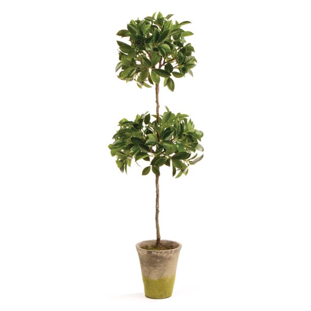 Ficus Topiary In Pot 31" - Walmart Business Supplies