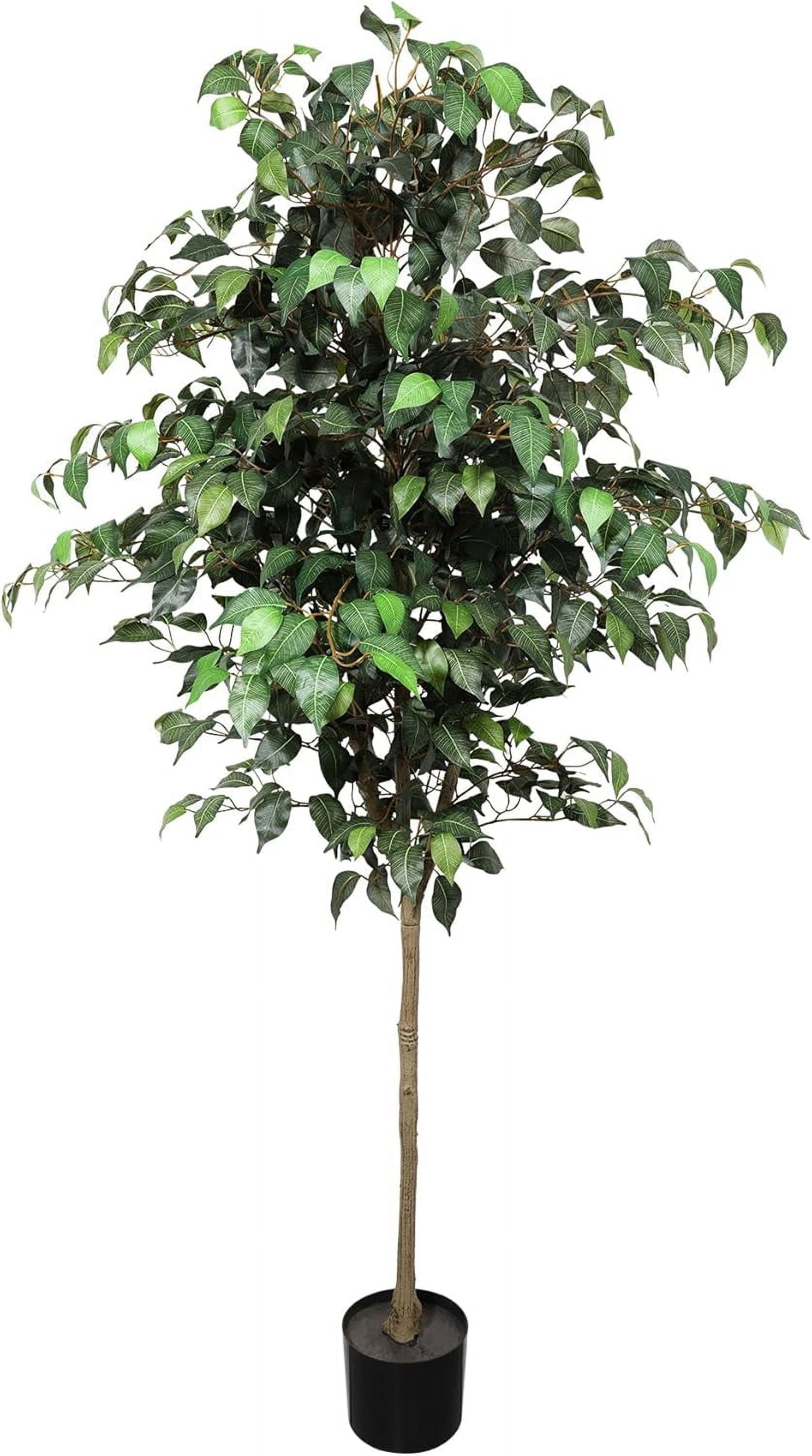Ficus Tree Artificial,Silk Ficus Tree 6FT,Fake Ficus Tree Ficus Tree ...