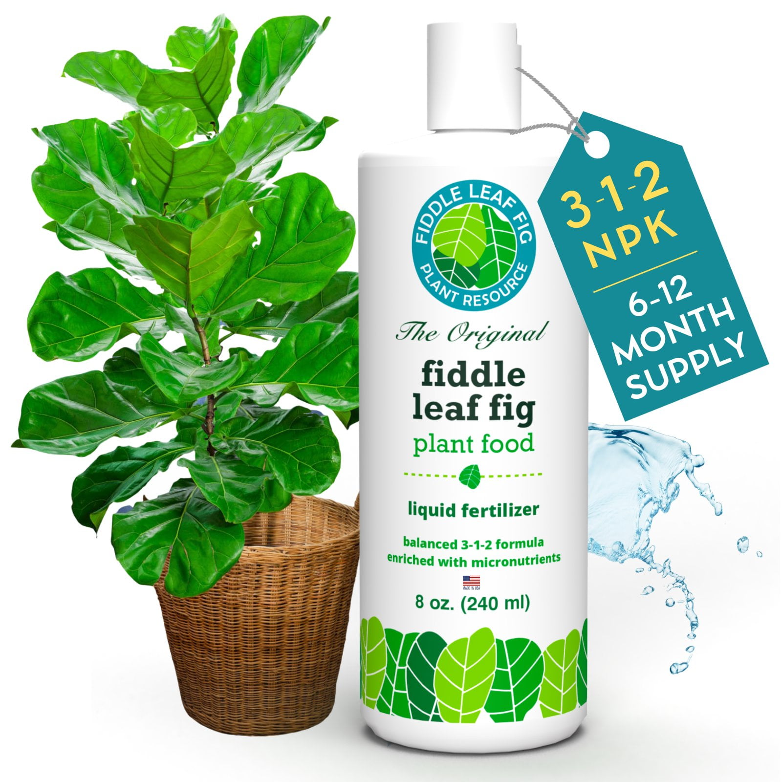 Fiddle Leaf Fig Tree Plant Food for Ficus Lyrata and Ficus Audrey ...