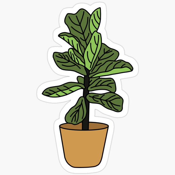 Fiddle Leaf Fig Sticker Phone Decal Water Bottle Stickers Car Decals ...