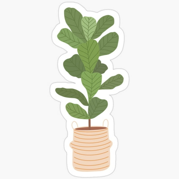 Fiddle Leaf Fig Sticker Phone Decal Water Bottle Stickers Car Decals ...