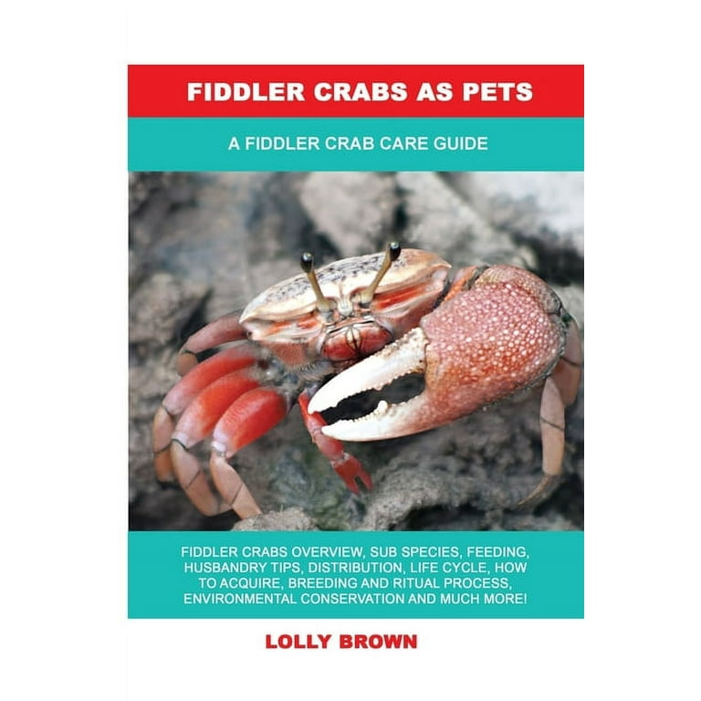 Fiddler Crab Recipes - Home Alqu