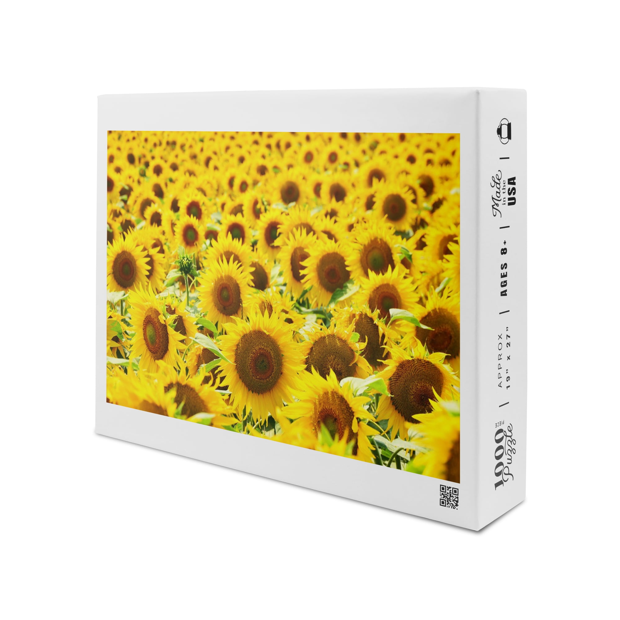 Field of Bright Yellow Sunflowers on a Sunny Day, Photography (1000 ...