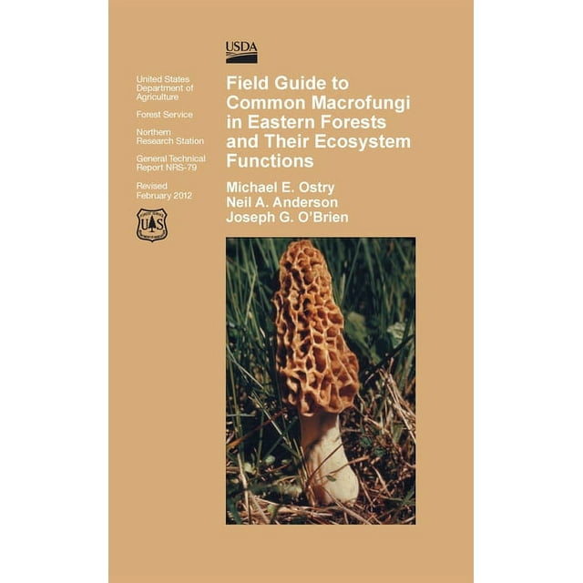 Field Guide to Common Macrofungi in Eastern Forests and Their Ecosystem ...