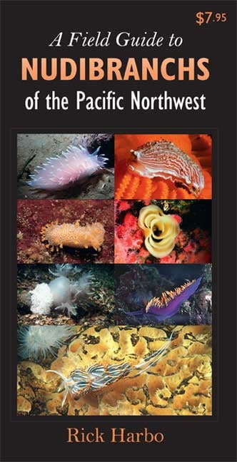 Field Guide To... (Harbour Publishing) A Field Guide to Nudibranchs of ...