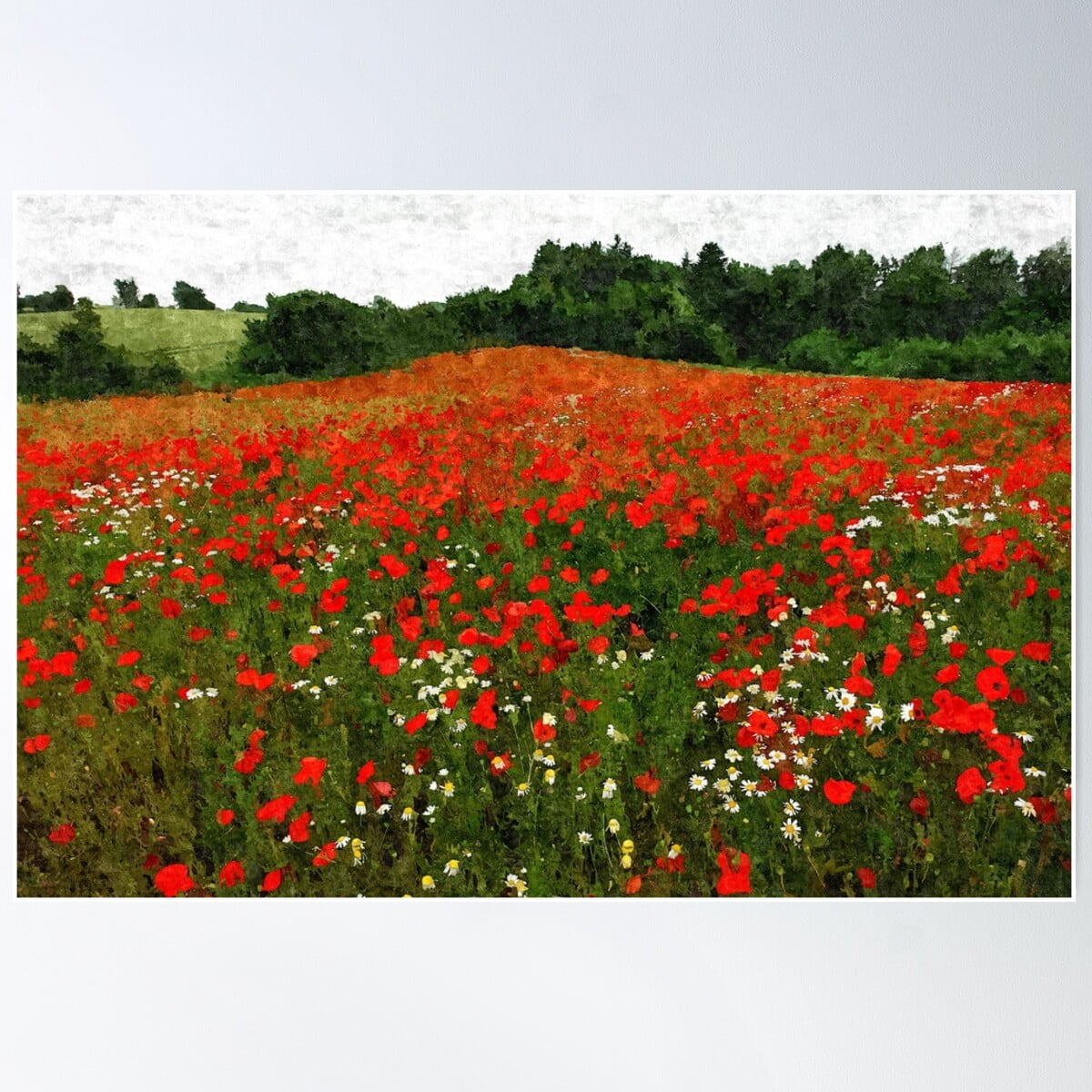 Field Of Poppies Poppy Flowers Poster Wall Art, Modern Wall Decor For ...