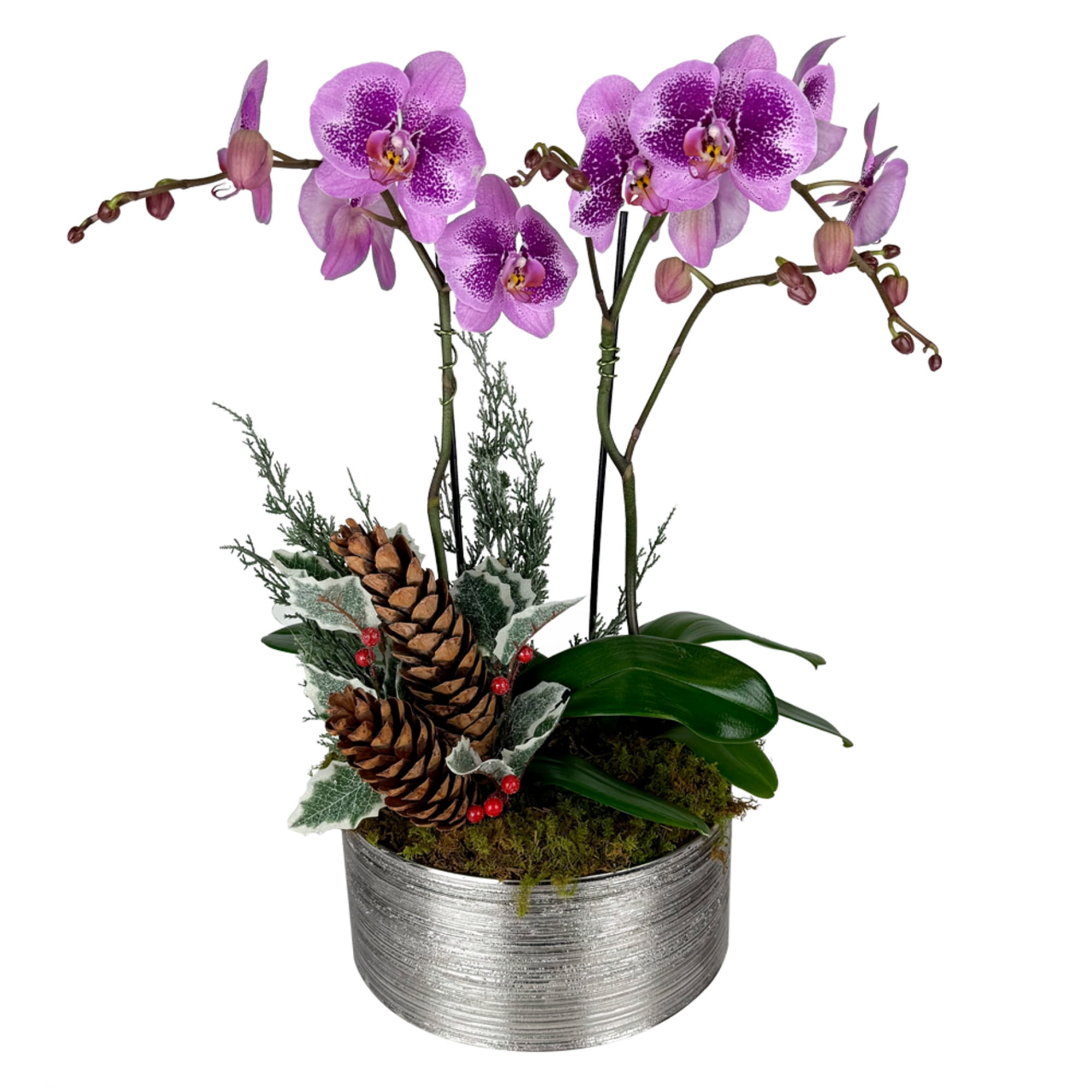 Field of Flowers - Majestic Orchid - Jul, Card Message: (Required ...