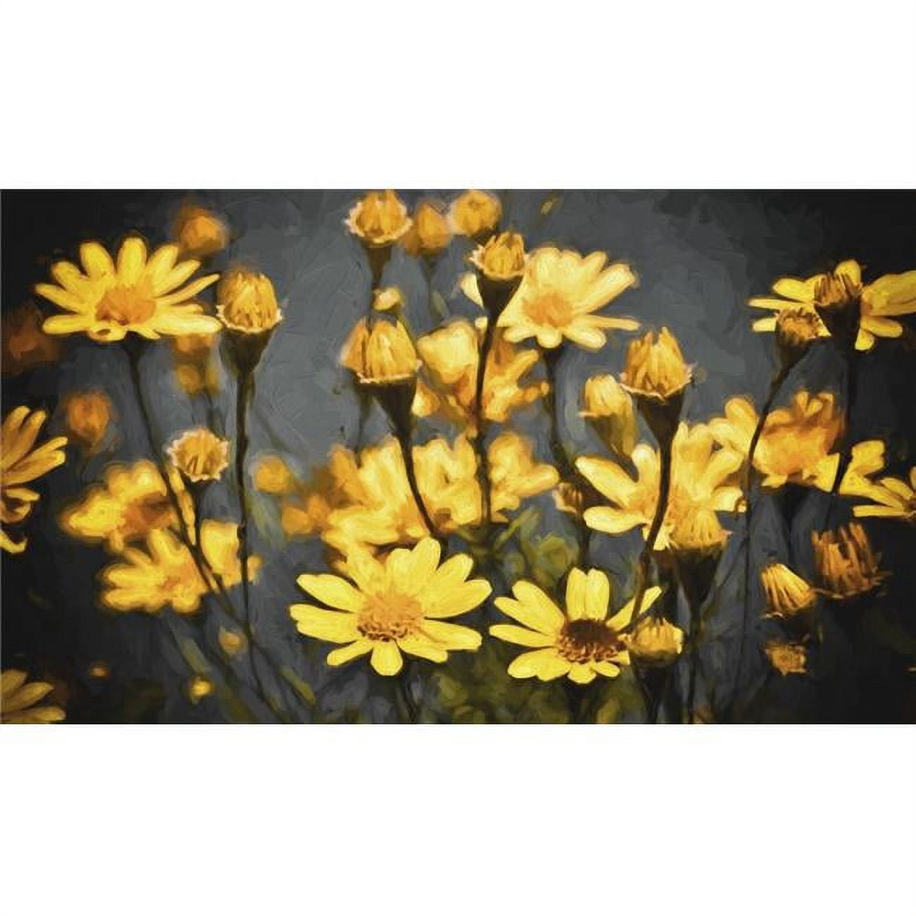 Field of yellow daisies; Honolulu Oahu Hawaii United States of America ...