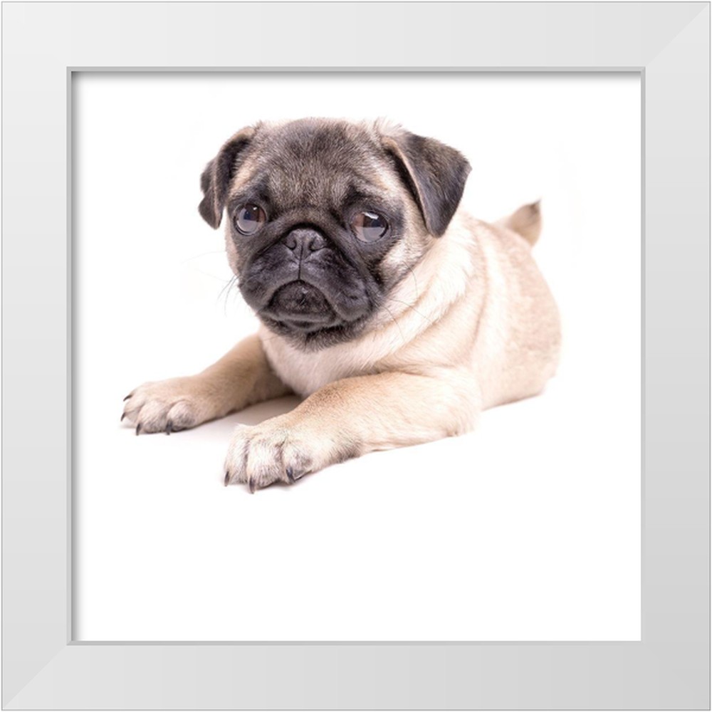 Fielding, Edward M. 26x26 White Modern Wood Framed Museum Art Print ...