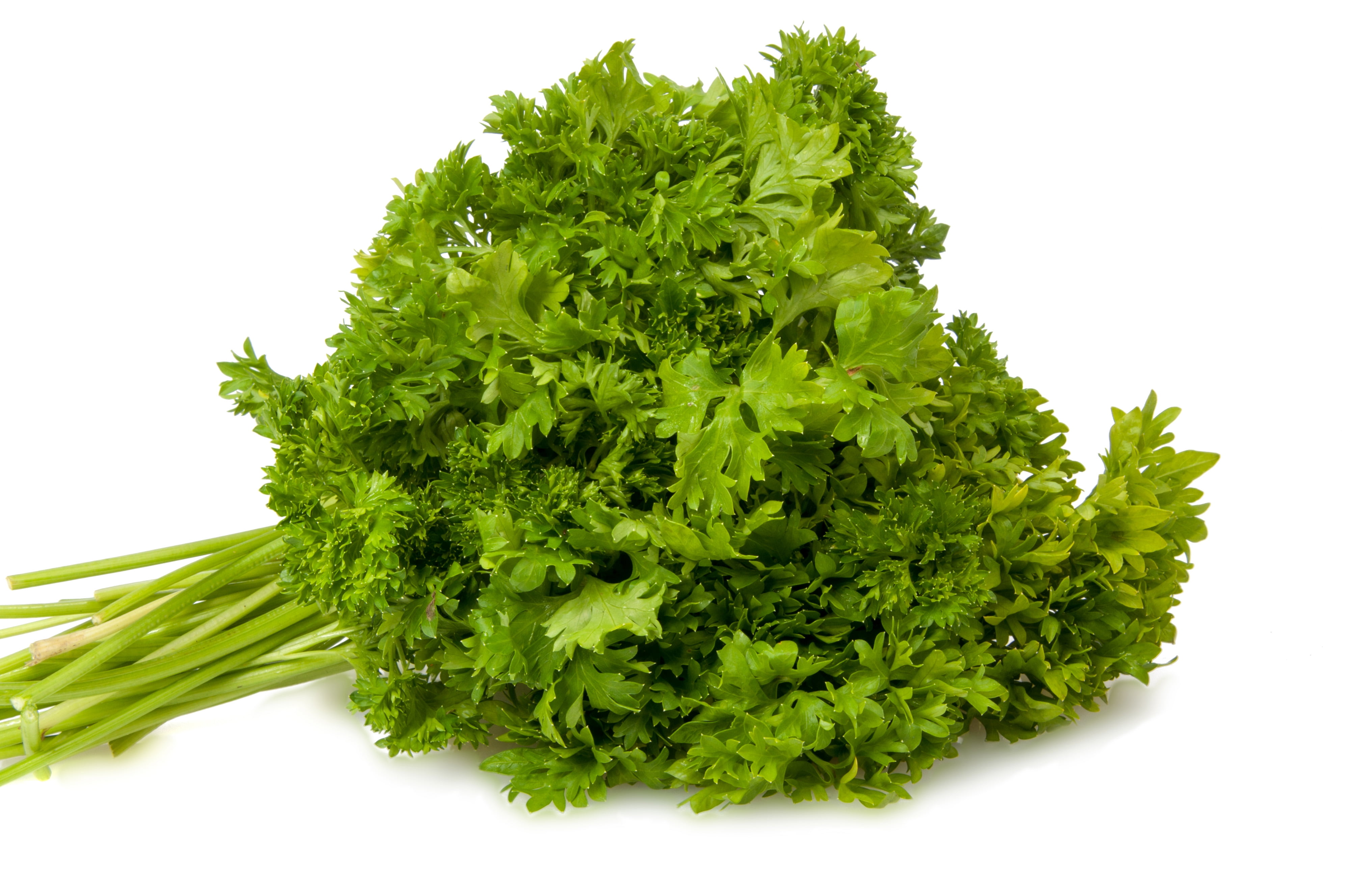 Fresh Cut Curly Parsley, Bag - Walmart.com