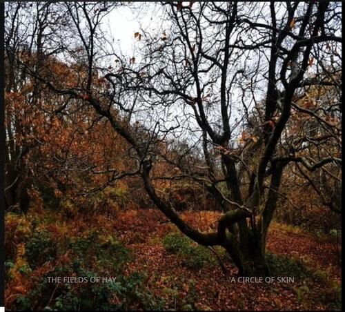 Fields of Hay - A Circle of Skin - Music & Performance - CD - Walmart.com