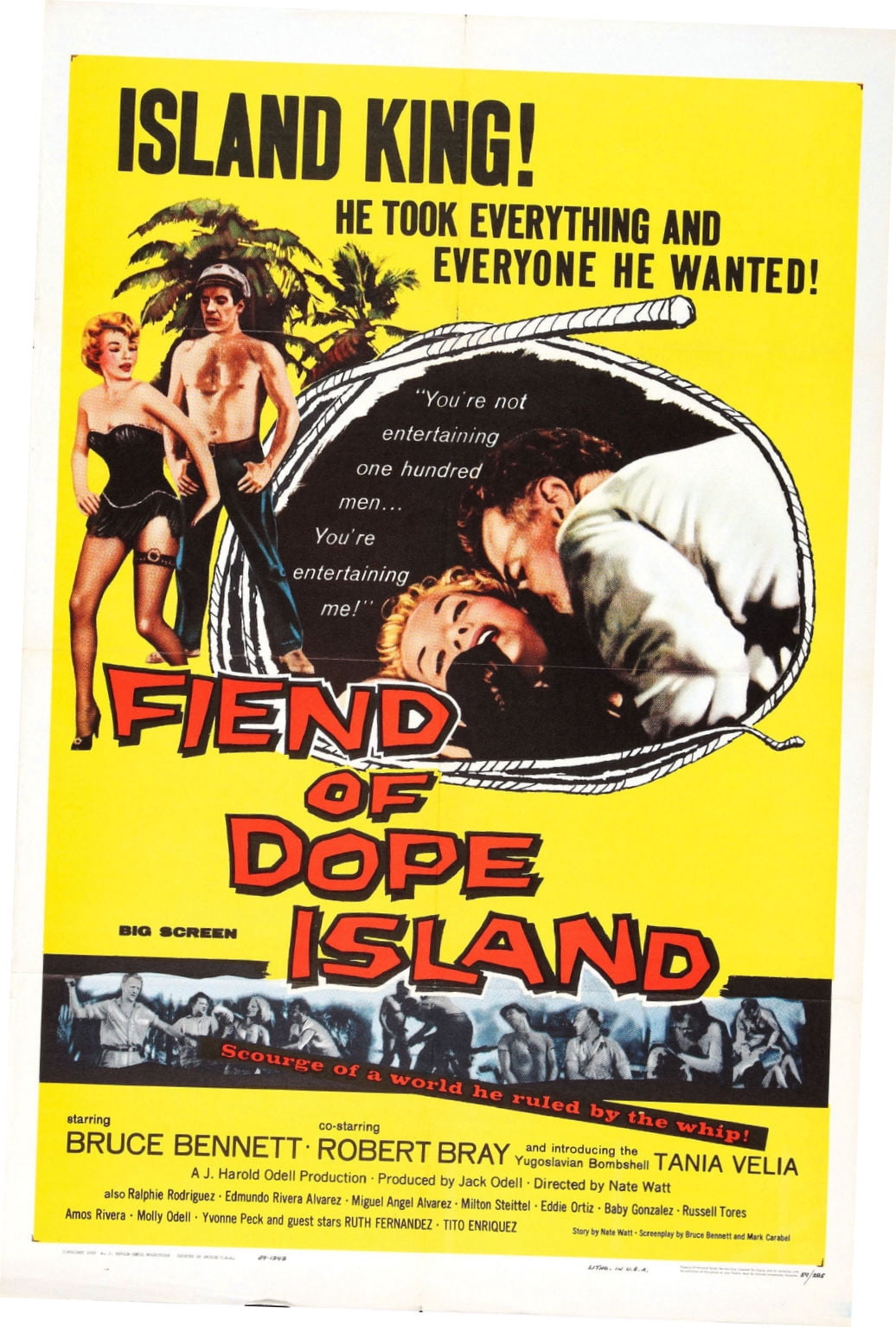 Fiend Of Dope Island Movie Poster 12x16 Print on Metal Sign 12in x 16in ...