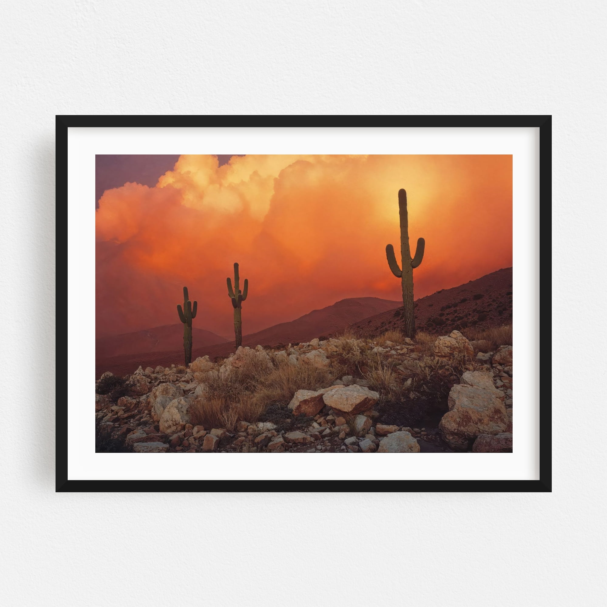 Fiery Desert Dusk - Photography Desert Cactus Sunset Landscape Nature ...