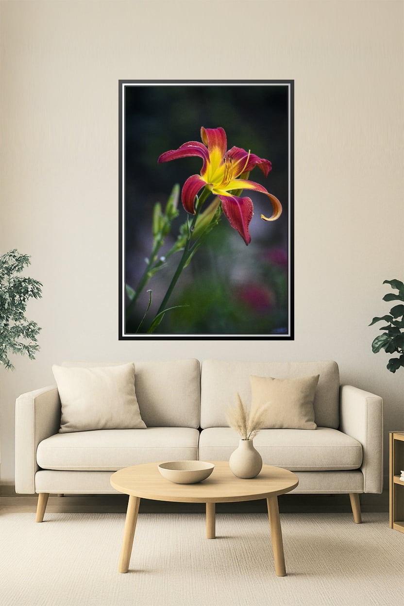 Fiery Red and Yellow Daylily – Botanical Fine Art Macro Poster ...